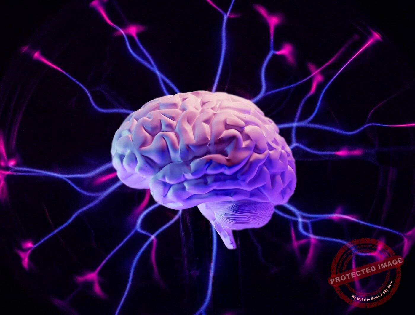 5 Ways Psychedelics May Affect the Brain - Trippy Hive